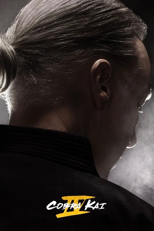 Cobra Kai (2018) – Picture Search